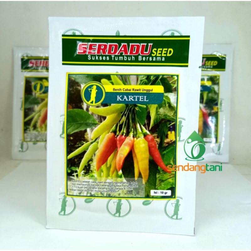 Jual KARTEL Benih Bibit Cabe Rawit Merah Unggul yang Viral dari Serdadu ...
