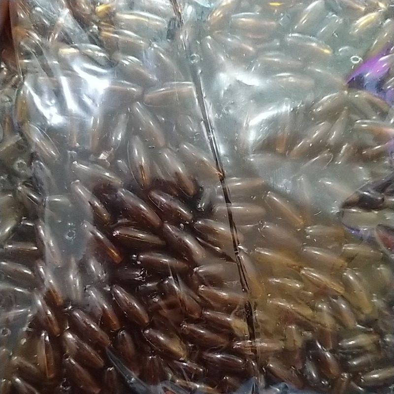 Jual (±450gr) mote manik parel PADI OVAL LONJONG | Shopee Indonesia