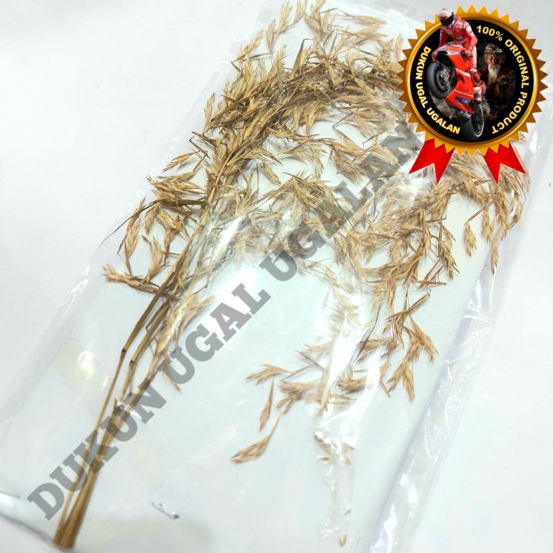 Jual Seikat Bunga Sereh Kembang Serai Asli Alami Barang Antik Original ...