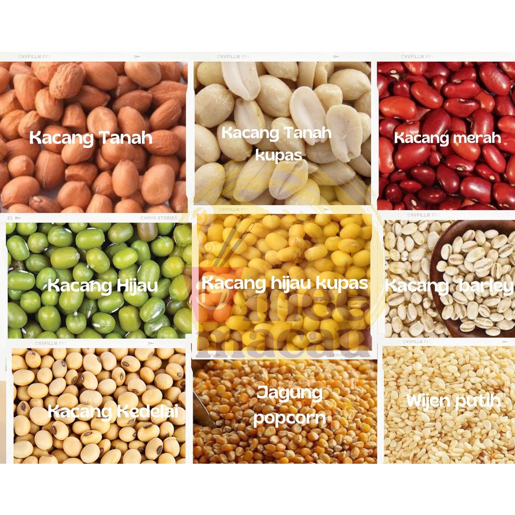 Jual Aneka kacang - kacangan organik 50gr / 100gr MPASI | Kacang merah ...