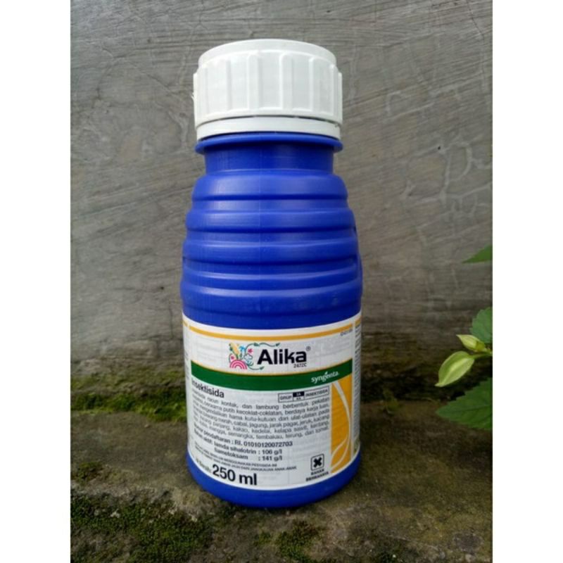 Jual ALIKA 247 ZC 250 ml | Shopee Indonesia