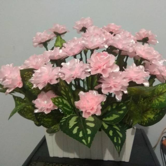 Jual Tata Flower Colection | Shopee Indonesia