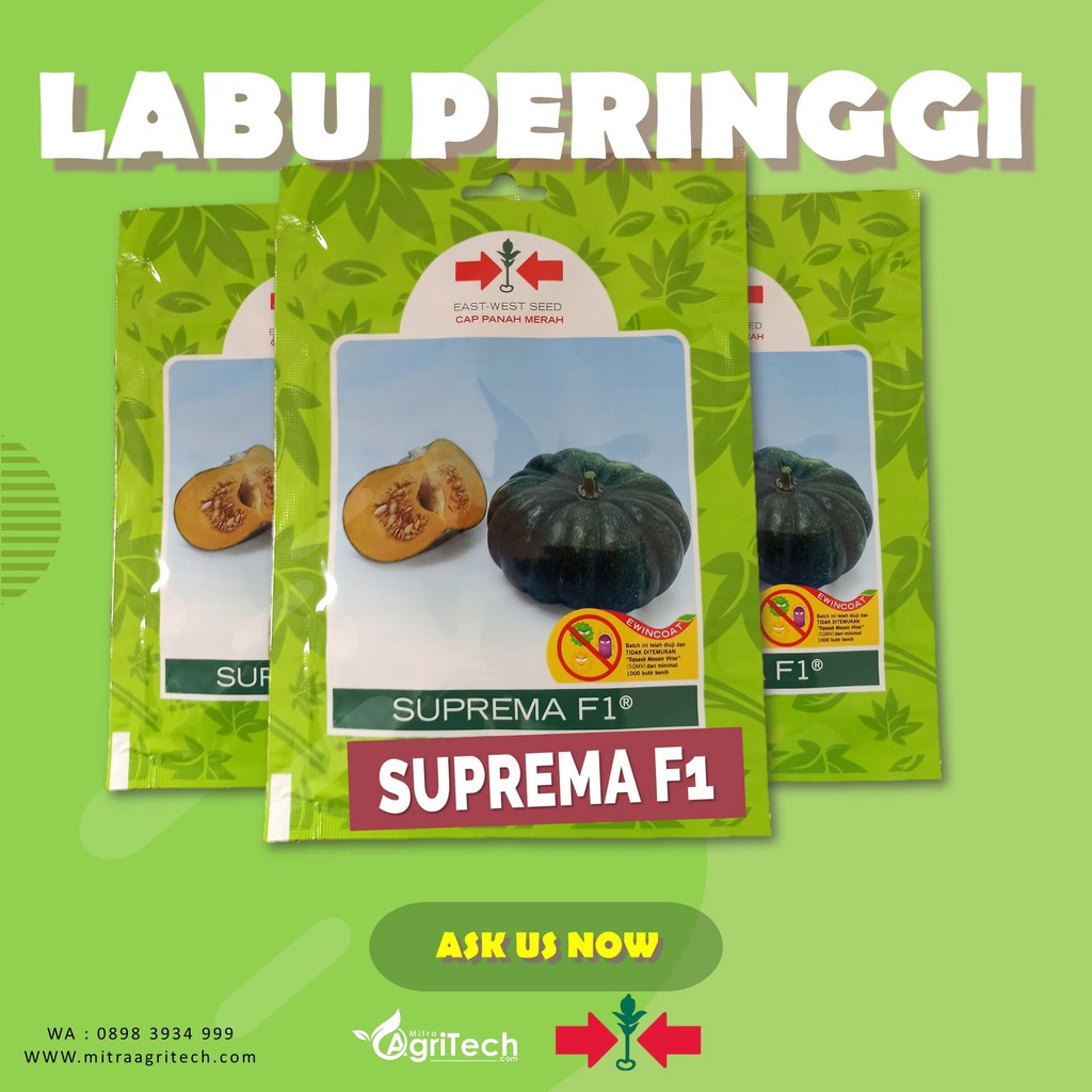 Jual BENIH LABU KUNING PERINGGI SUPREMA F1 ISI 40 BIJI - CAP PANAH ...