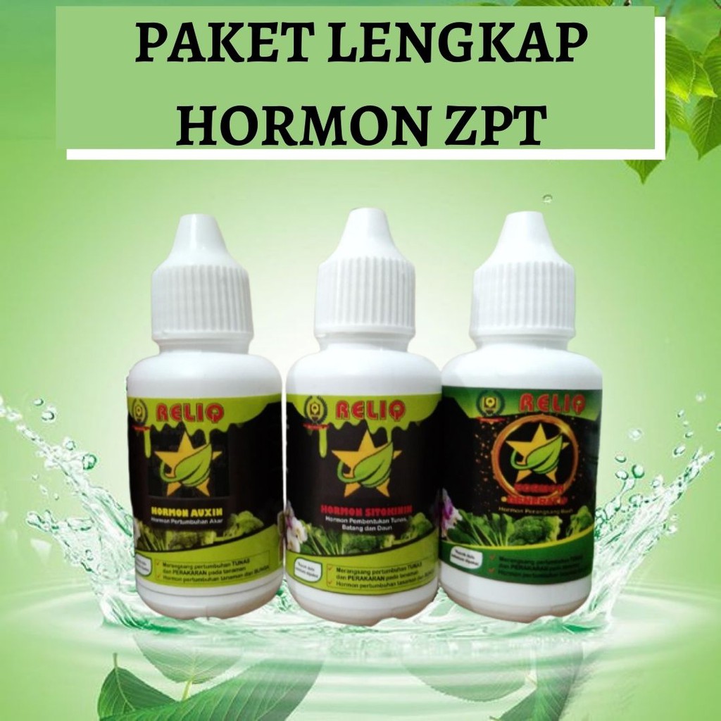 Jual Hormon Tanaman Giberelin Sitokinin Auksin, Paket Lengkap Hormon ...