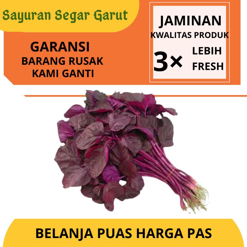 Jual Bayam Merah Sayuran Segar Fresh Murah per 1 ikat by Sayuran Segar ... Jual Bayam Merah Sayuran Segar Fresh Murah per 1 ikat by Sayuran Segar ...