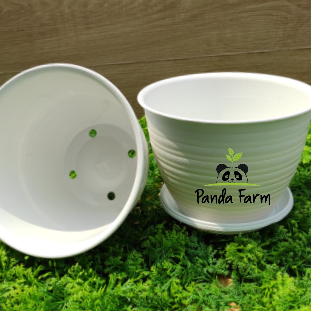 Jual Pot Tawon 18 Original plus Tatakan - Putih | Shopee Indonesia