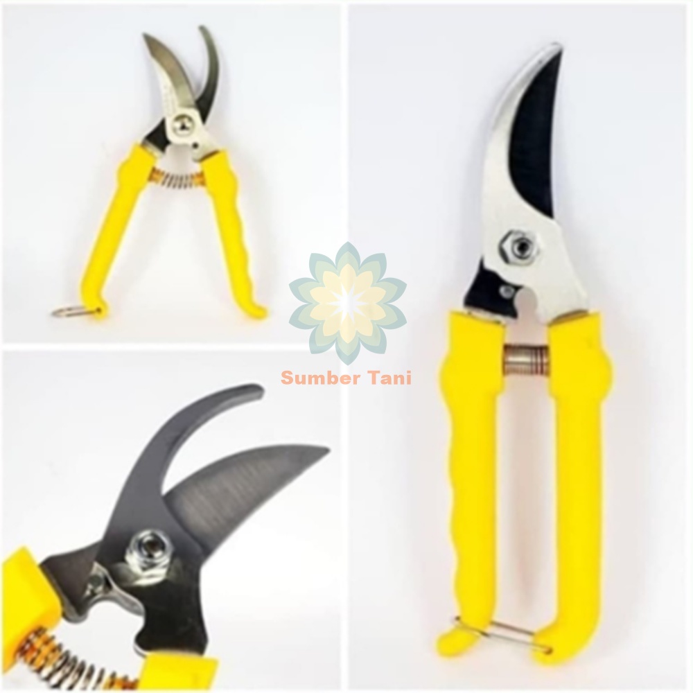 Jual Gunting Stek Batang Dahan Pohon PROHEX Kecil | Shopee Indonesia