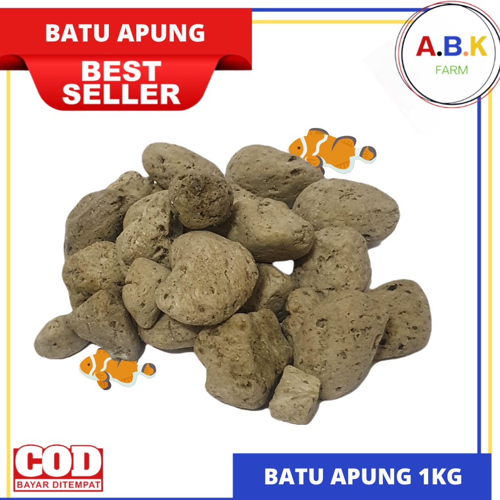 Jual BATU APUNG 1Kg AQUASCAPE PUMICE PUMIS MEDIA FILTER RUMAH BAKTERI ...
