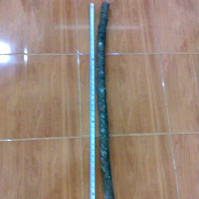 Jual Kayu lemo atau kayu krangean asli alam asal gunung salak | Shopee ...