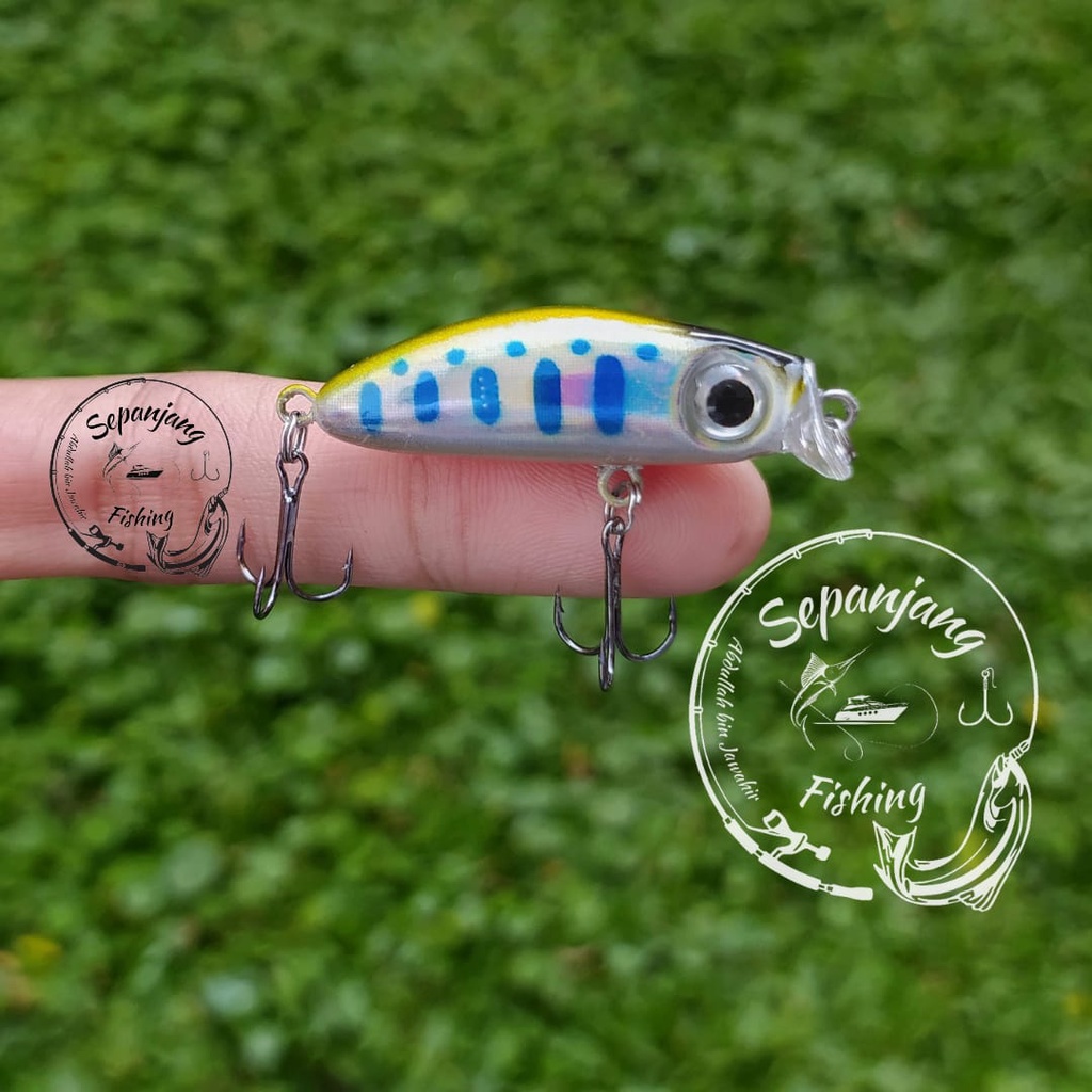 Jual Mini Minnow hybrid ~ 4 cm / 3 gram ~ slow sinking ~ micro minnow ~ Sepanjang Fishing ...