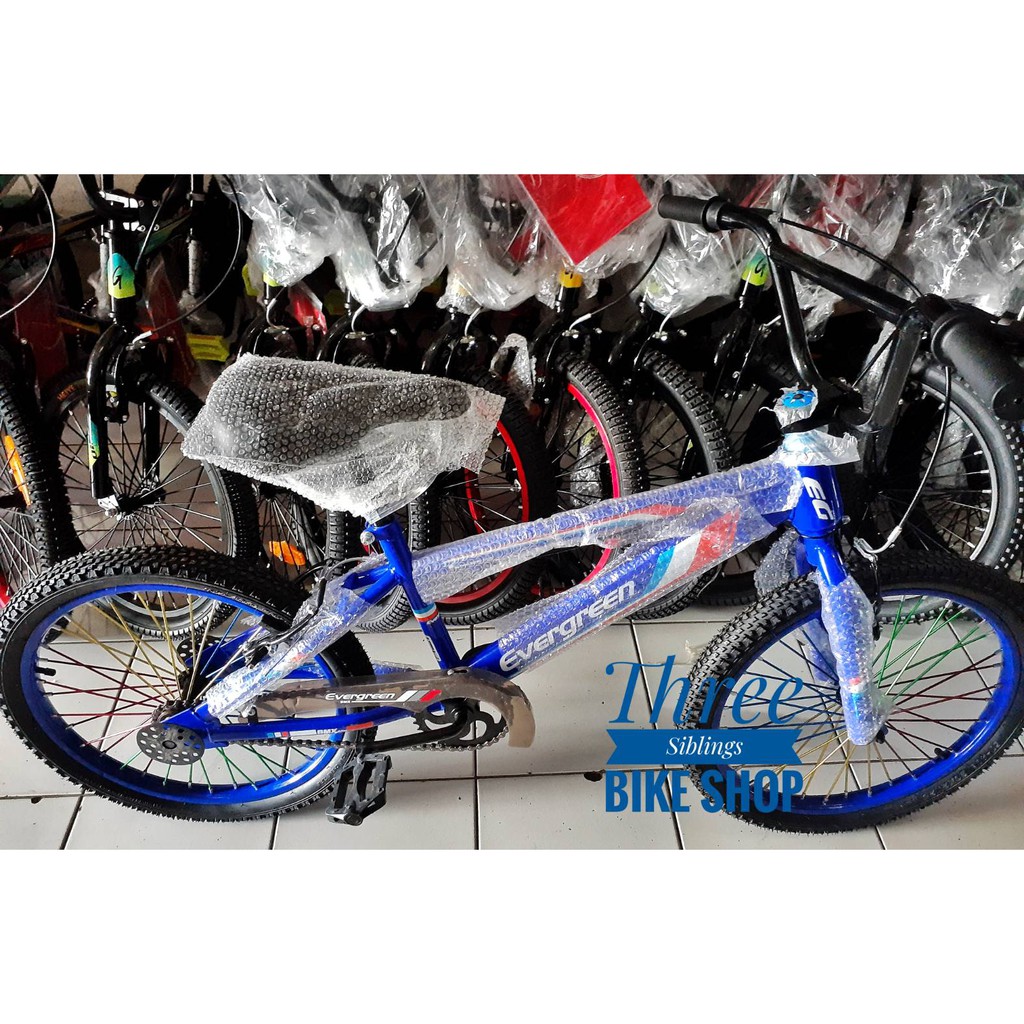 Jual SEPEDA BMX EVERGREEN CLASSIC 20 INCH WARNA BIRU | Shopee Indonesia