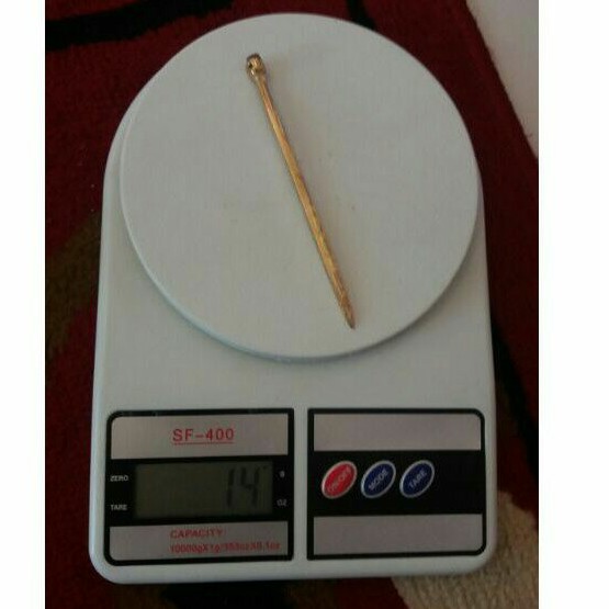 Jual paku kuningan rajah 10 cm | Shopee Indonesia