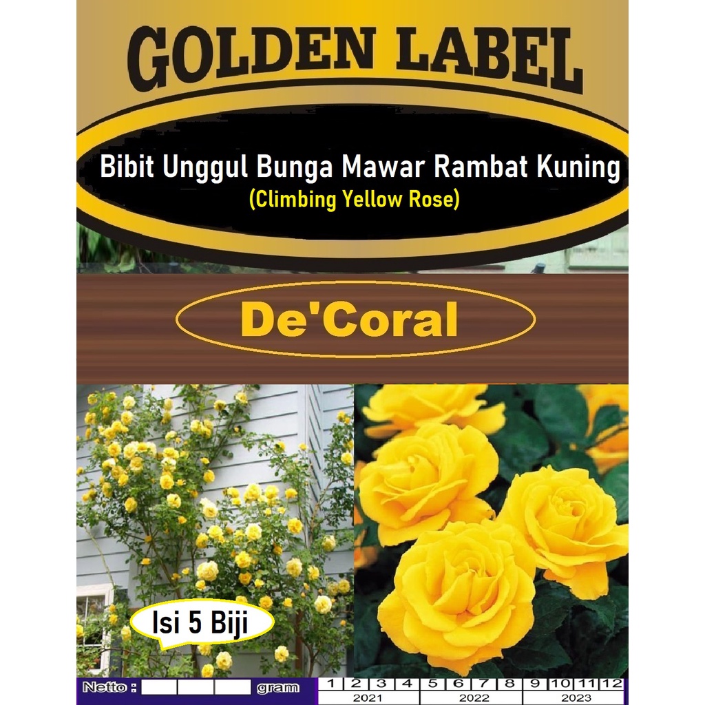 Jual Bibit Unggul Bunga Mawar Rambat Kuning | Bibit Climbing Yellow ...