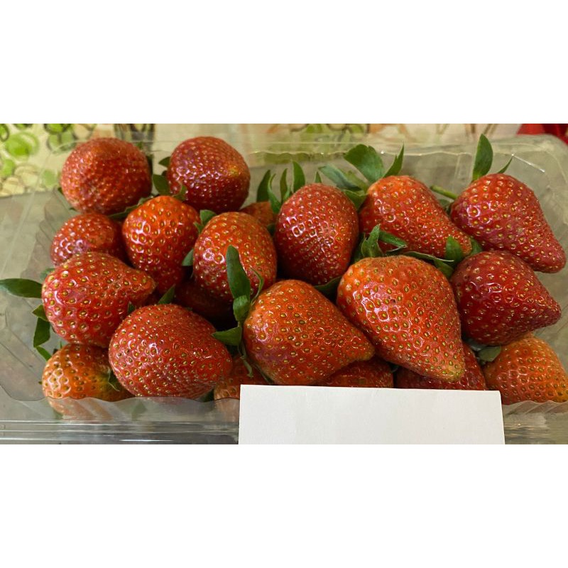 Jual buah stroberi|buah stroberi bandung|buah strobery|buah segar|buah ...