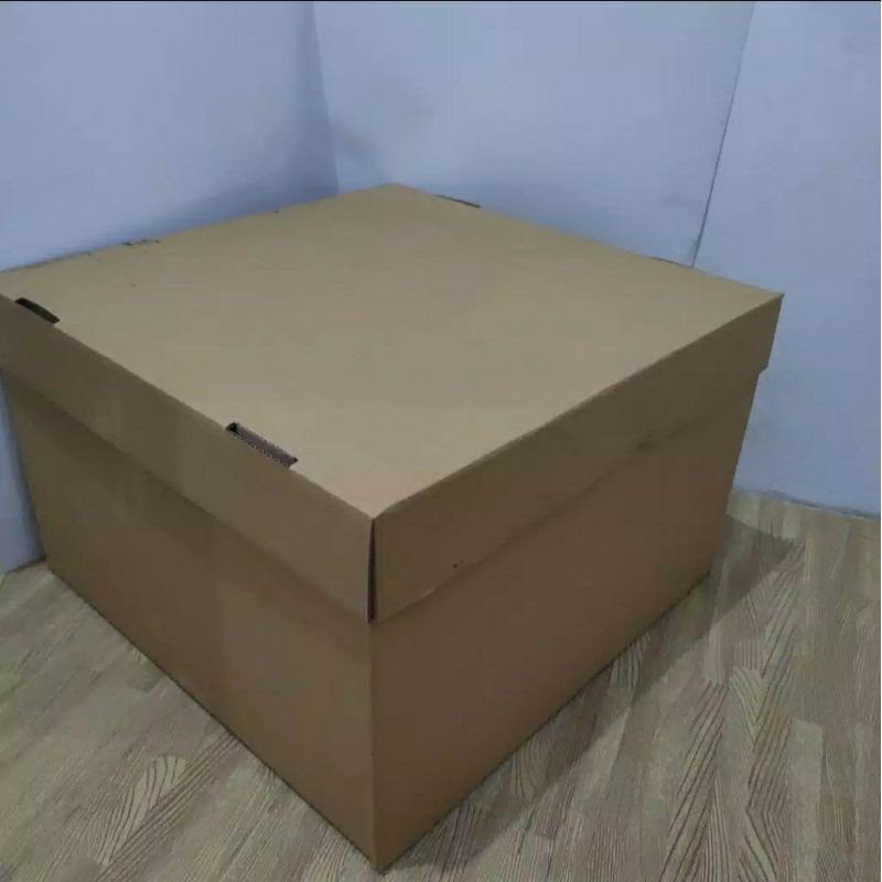 Jual Box 40x40x25 cm (Set Top/Bot Asia) Kardus/Karton/Paking/Polos ...