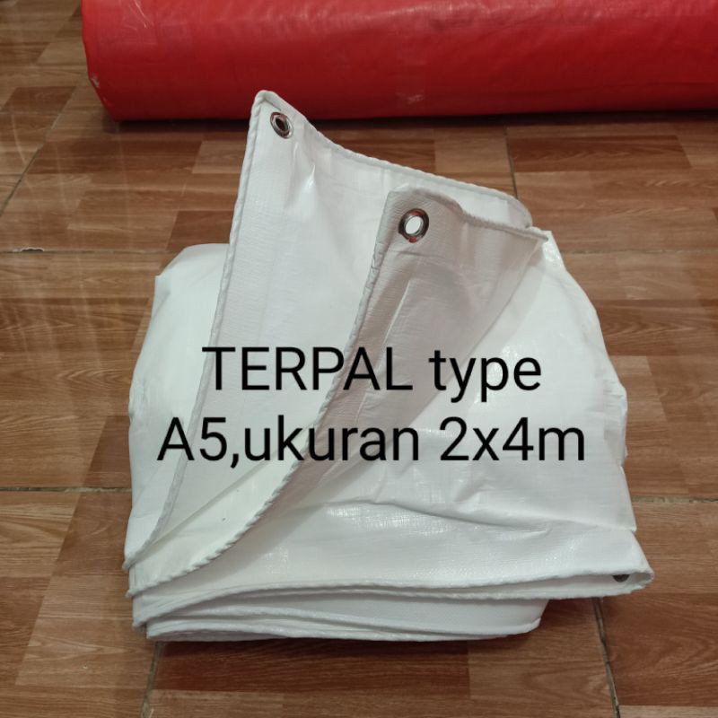 Jual TERPAL PLASTIK type A5, ukuran 2x4m, warna putih | Shopee Indonesia