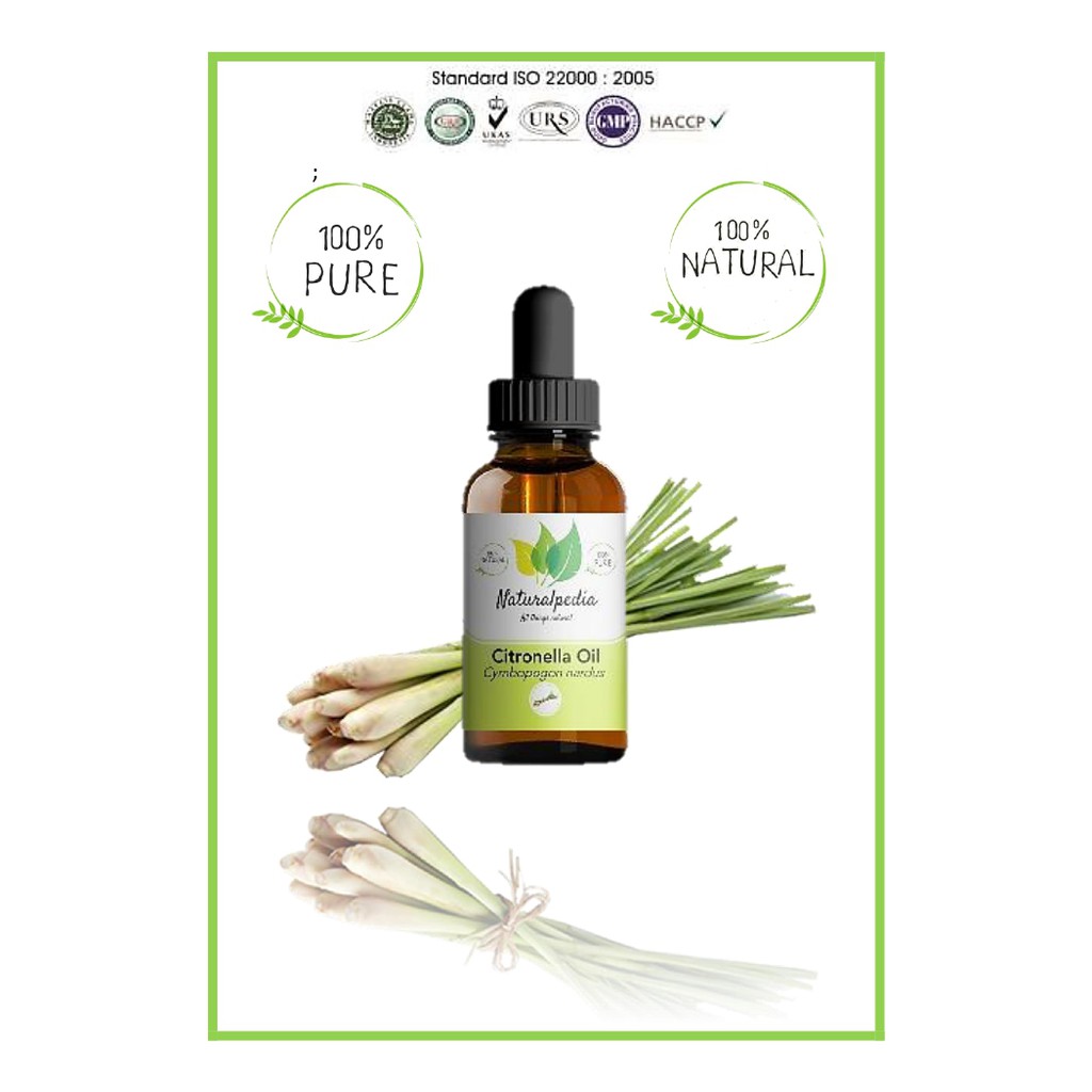 Jual Pure Citronela Citronella Essential Oil 30ml / Minyak Atsiri Esensial Serai Sereh Wangi ...