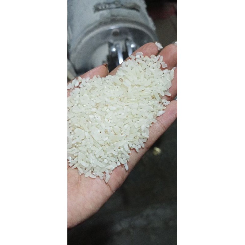 Jual Beras 42 Solok Padang 10 kg | Shopee Indonesia