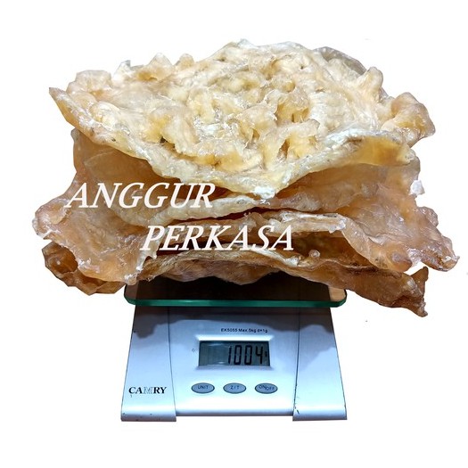 Jual Perut Ikan Kerapu / Gelembung Ikan Kerapu / Hipio / Hupio ...