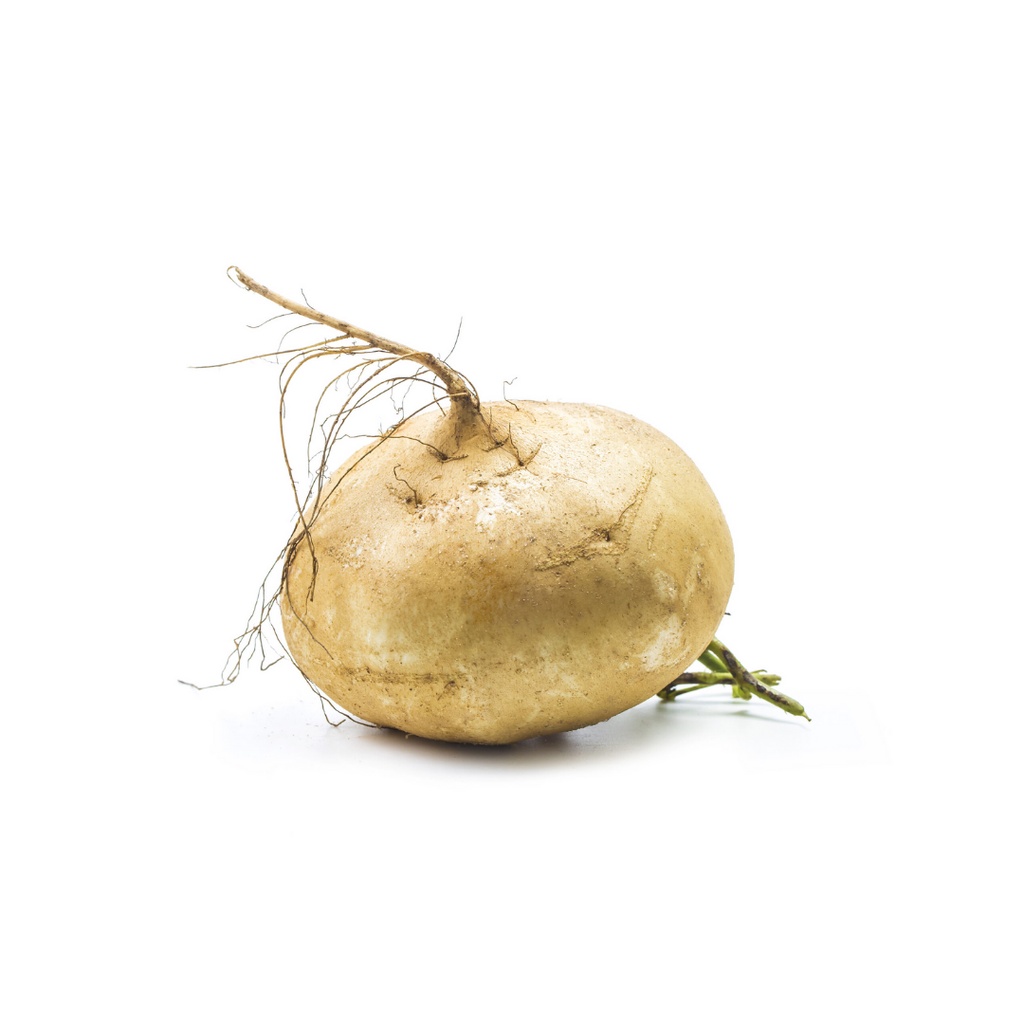 Jual Bengkuang 1 kg | Shopee Indonesia