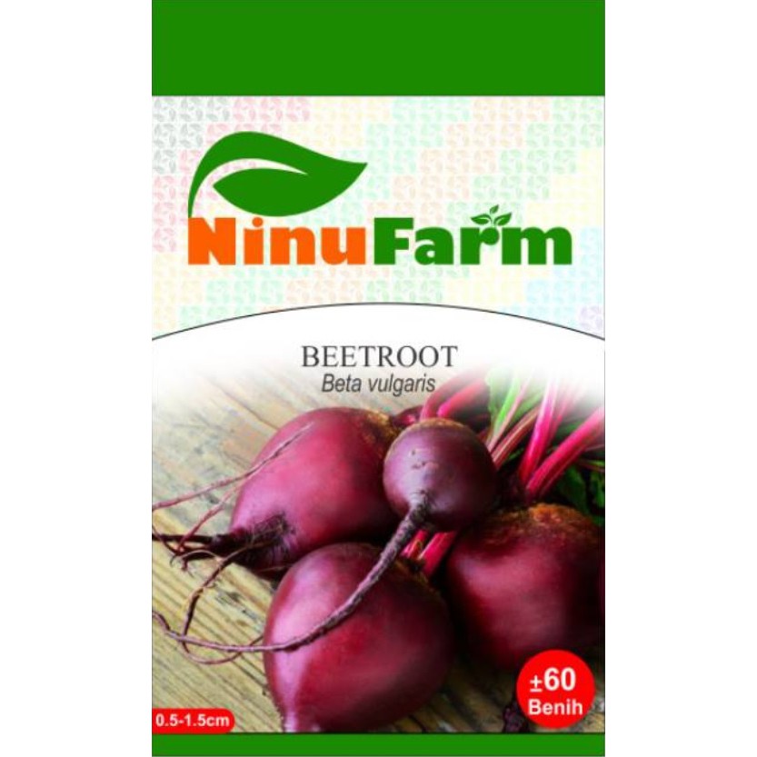 Jual Benih Bibit Buah Beetroot/Bit Merah Ninufarm (60 Butir) | Shopee ...