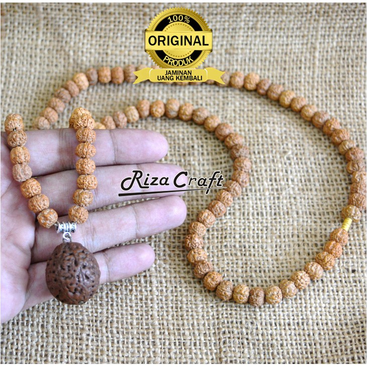 Jual Kalung Kesehatan Herbal Biji Jenitri Genitri Rudraksha Asli Unik ...