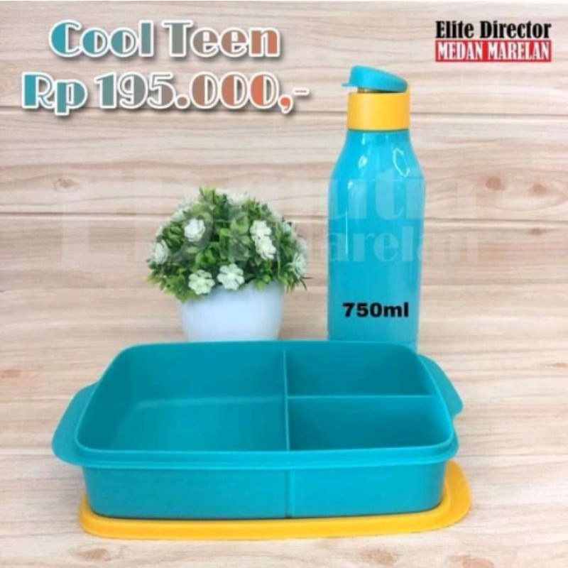 Jual Cool teen/cool teen Tupperware/bekal Tupperware/Lolly tup/Lolly ...