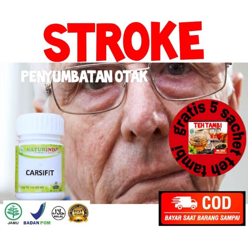 Jual obat strok obat herbal strok stroke setrok penyumbatan otak ...