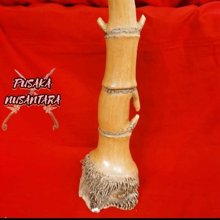 Jual Koleksi Bambu Kuning / Bambu Unik / Bambu Petuk / Bambu Patil Lele ...