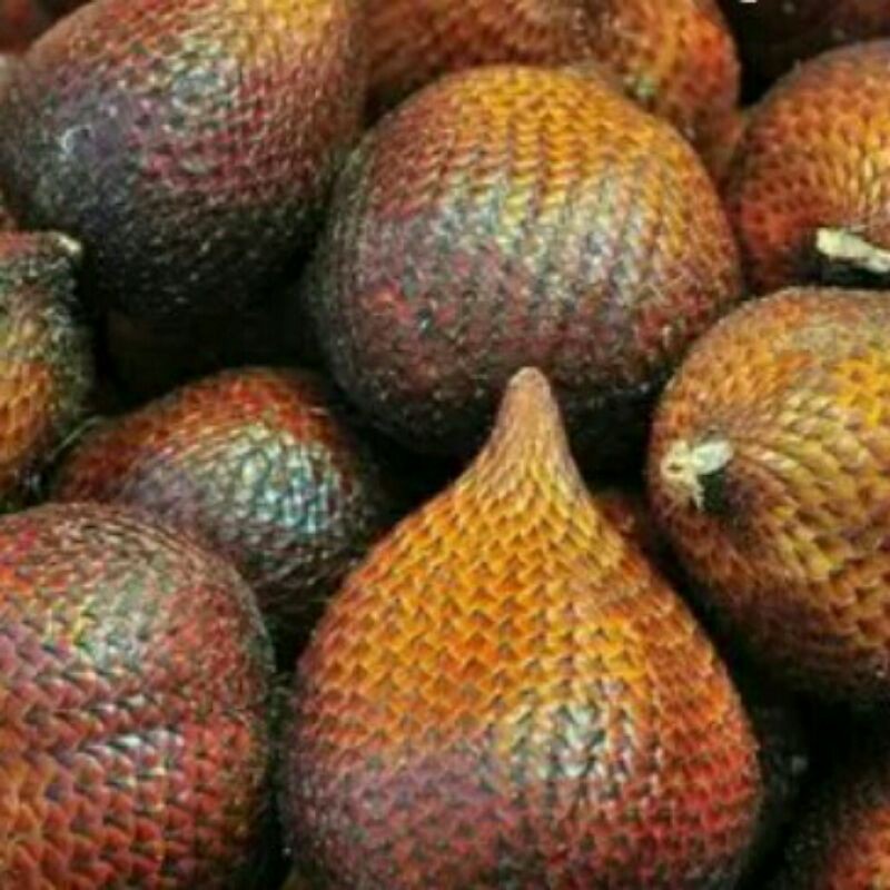 Jual SALAK PONDOH PER 1 KG | Shopee Indonesia