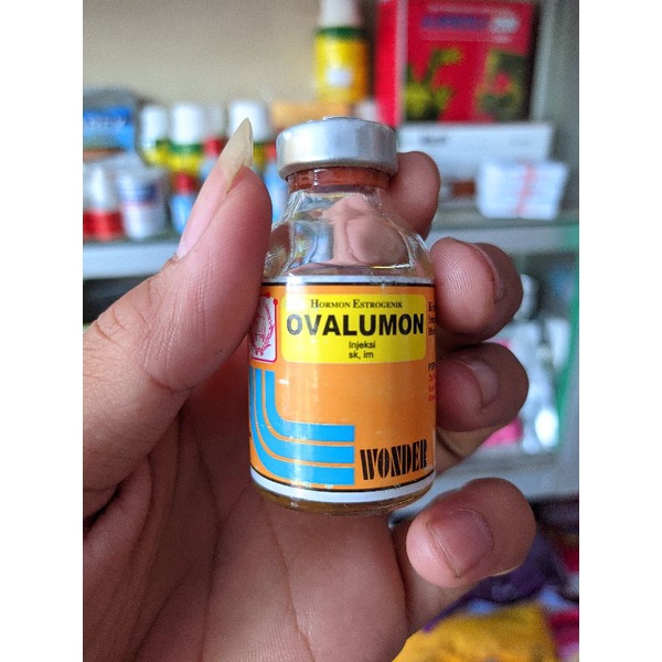 Jual Ovalumon Hormon Estrogenik Injeksi 20ml | Shopee Indonesia