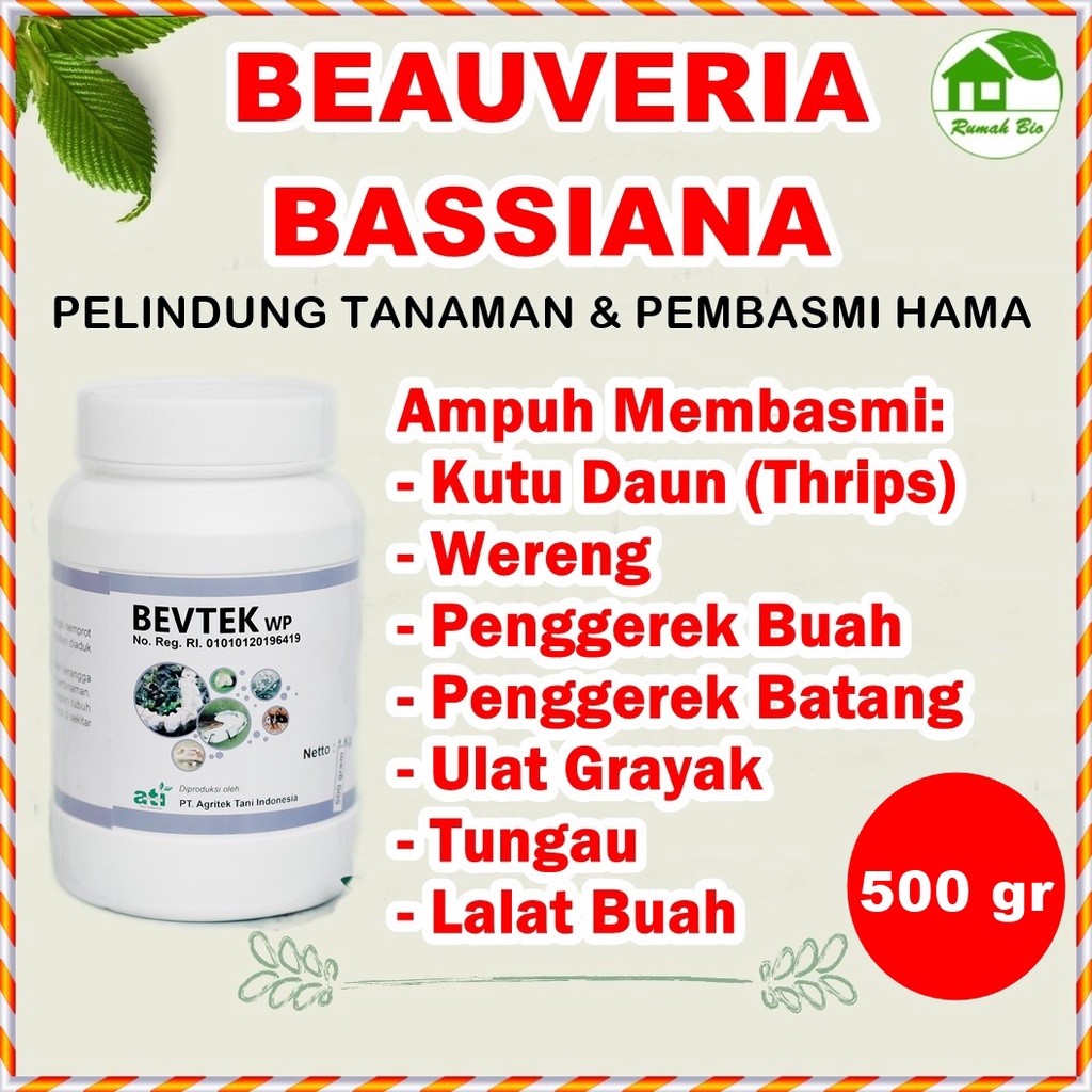 Jual Bevtek WP 500 Gram Pestisida Organik Beauveria Bassiana Jamur ...