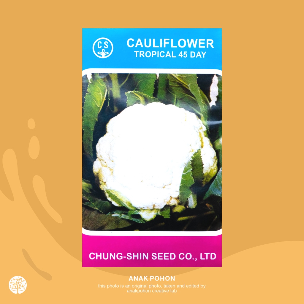 Jual (1 PACK) Bunga Kol 45 Hari TROPICAL 45 Kembang Kol - Chung Shin ...