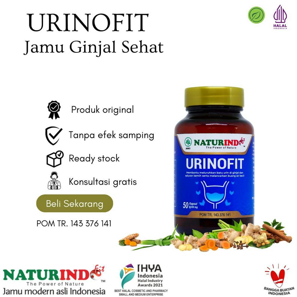Jual Obat herbal batu ginjal kencing sakit infeksi saluran kemih ... Jual Obat herbal batu ginjal kencing sakit infeksi saluran kemih ...