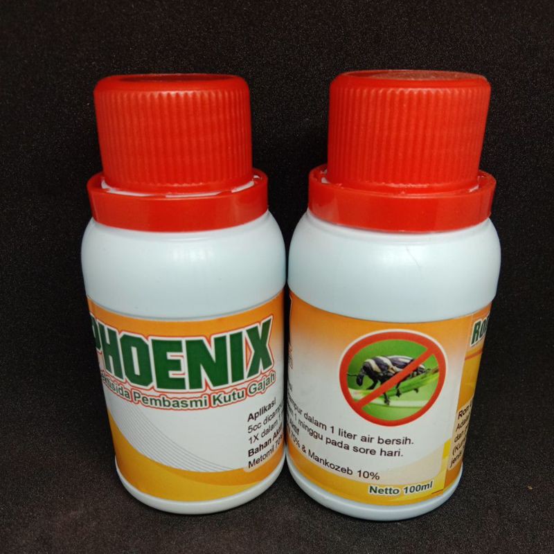 Jual Insektisida Pembasmi Kutu Gajah 'Phoenix' 100ml | Shopee Indonesia