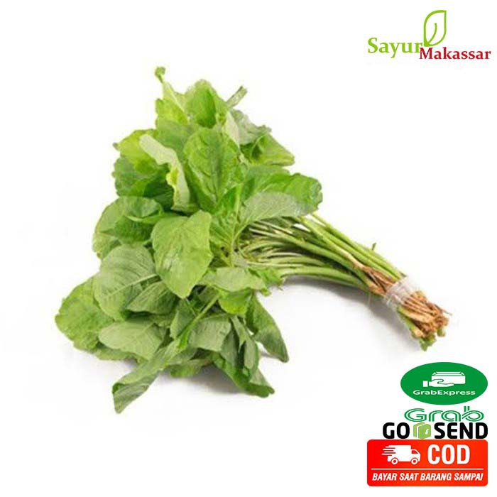 Jual Sayur Bayam / Sayuran Perbungkus / Segar fresh Makassar | Shopee ...