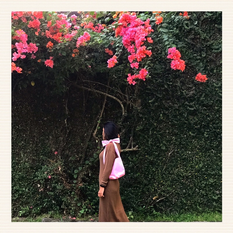 Jual RIBBON bag | Shopee Indonesia