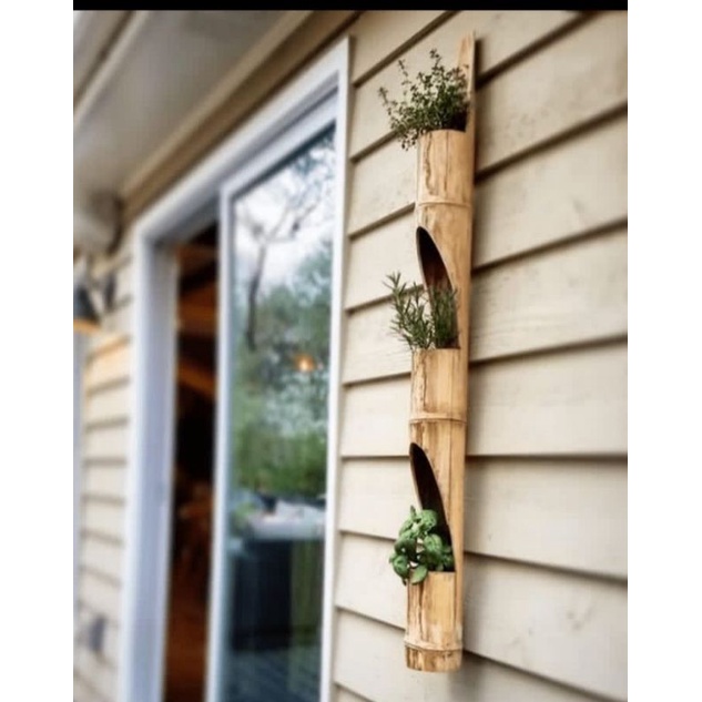 Jual Pot Bambu Pot Bambu Tempel Bambu murah | Shopee Indonesia