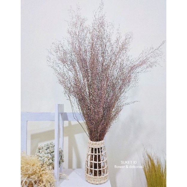 Jual Grosir Ranting Merah Kering / ranting merak (bahan dekorasi bunga ...