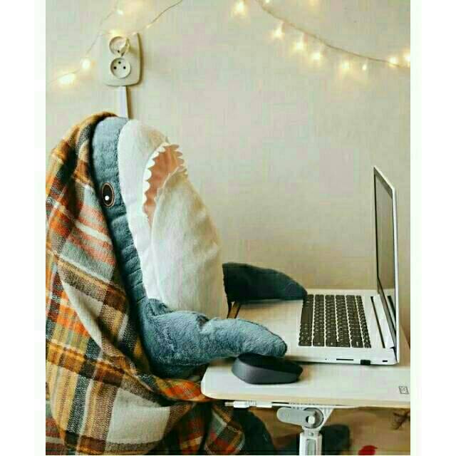Jual BLAHAJ Boneka Ikan Hiu 100 cm,Boneka Ikan Hiu Besar | Shopee Indonesia