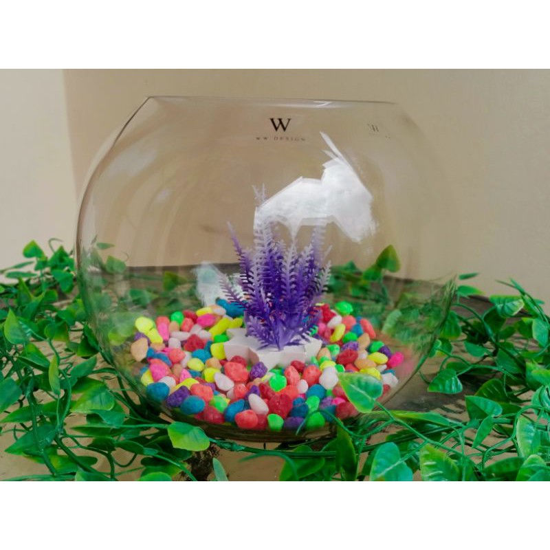 Jual AQUARIUM FISH BOWL ( LUNA .B ) ukuran 4 L | Shopee Indonesia