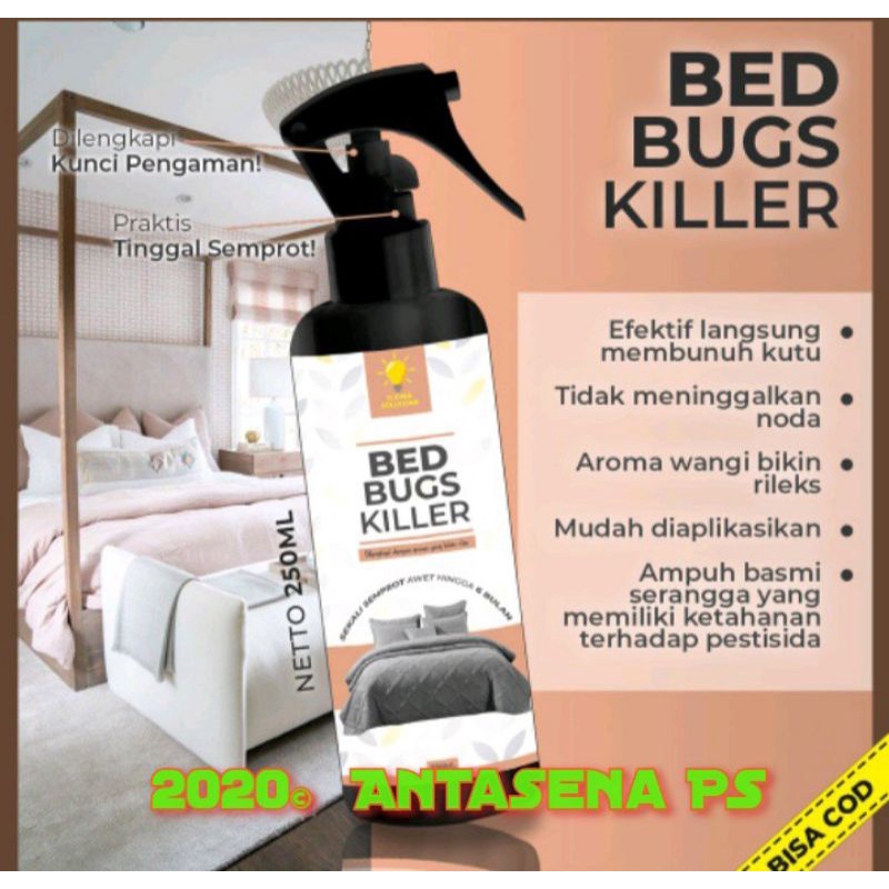Jual Obat Anti Kutu Kasur Bed Bugs Killer Pembasmi Tungau Kutu Busuk ...