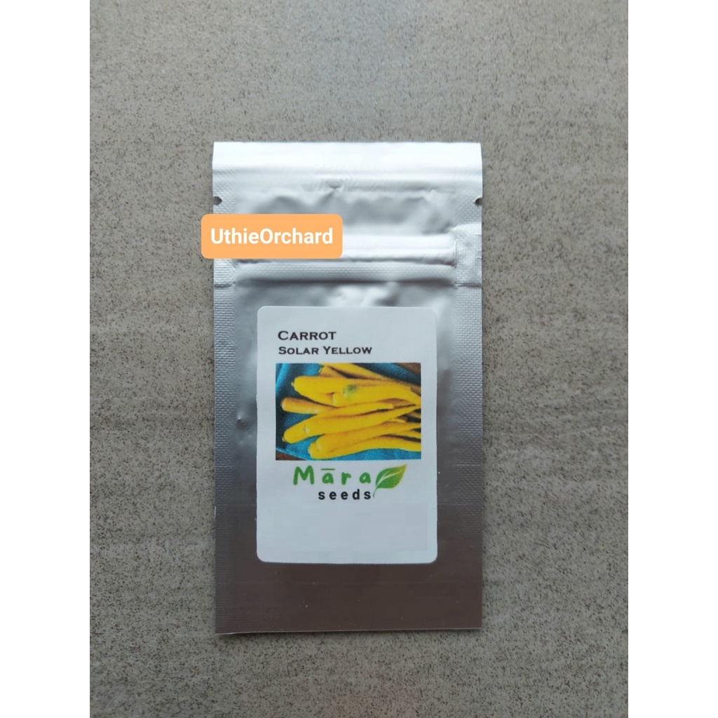 Jual Mara Seeds - Carrot (Wortel Kuning) Solar Yellow (150 Seeds ...