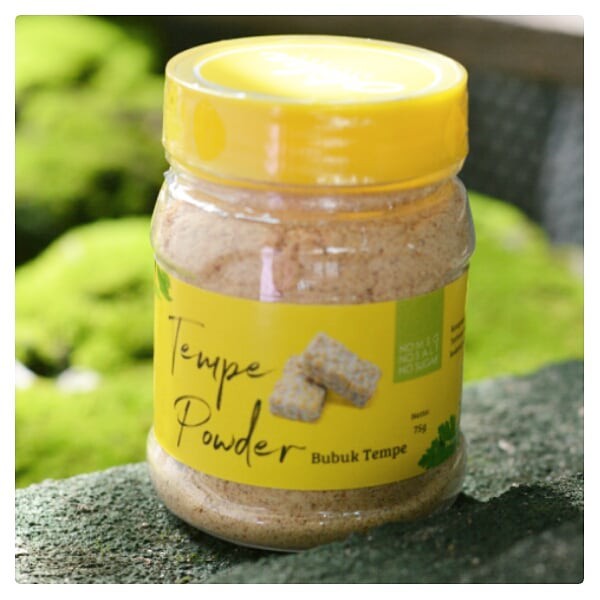 Jual Aidan Tempe Stock Powder 75gr, Bumbu Tabur Kaldu Tempe Bubuk ...