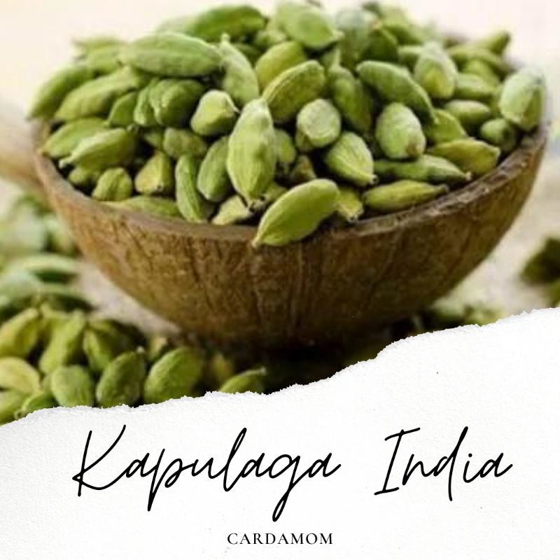 Jual KAPULAGA HIJAU 1KG Kapulaga India | Shopee Indonesia