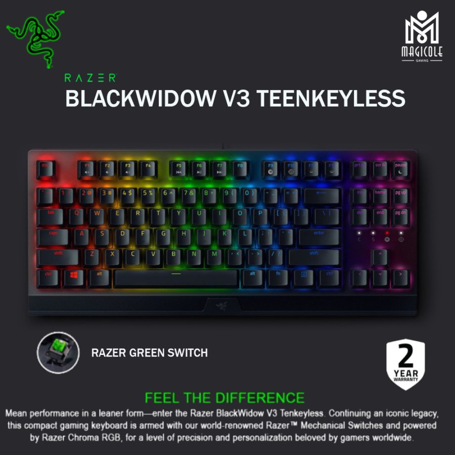Jual Razer Blackwidow V3 TKL Tenkeyless Mechanical Gaming Keyboard ...