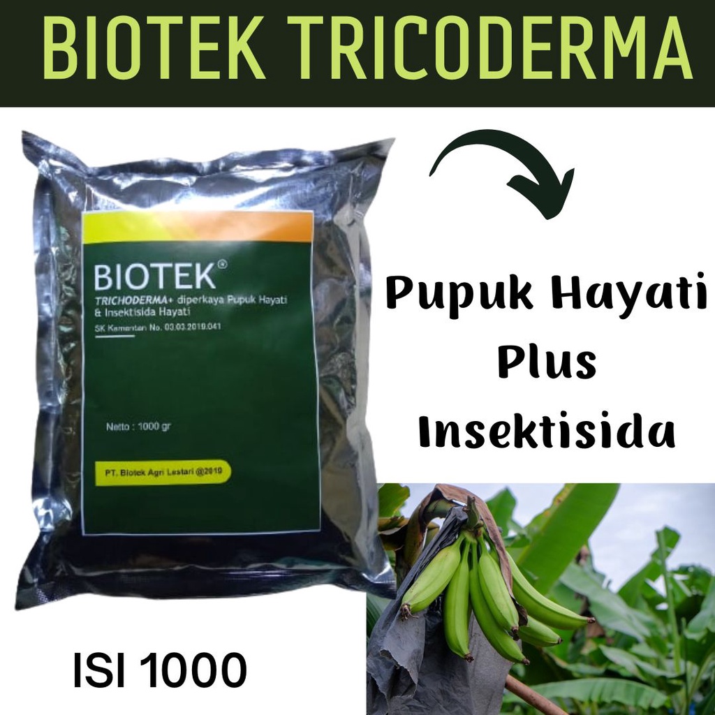 Jual Tricoderma Obat Busuk Batang Pisang, Fungisida Hayati Trichoderma, Pupuk Atasi Layu ...