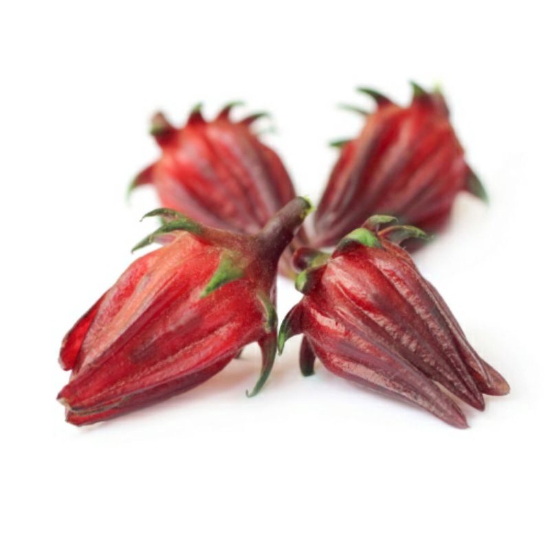 Jual Bibit ROSELLA Daun Merah Dan Hijau Kualitas Unggul | Shopee Indonesia