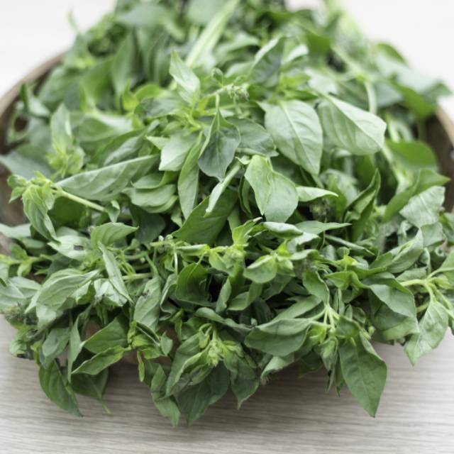 Jual - CSM - Daun Kemangi ( Daun Surawung ) | Shopee Indonesia