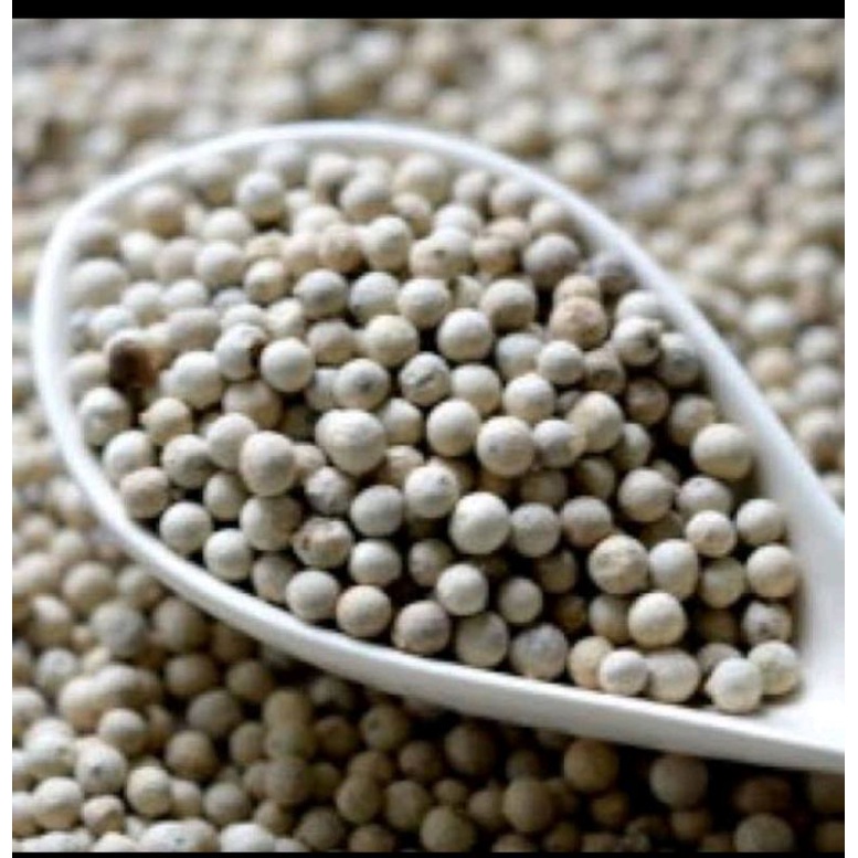 Jual MERICA/LADA PUTIH BUTIR.. | Shopee Indonesia